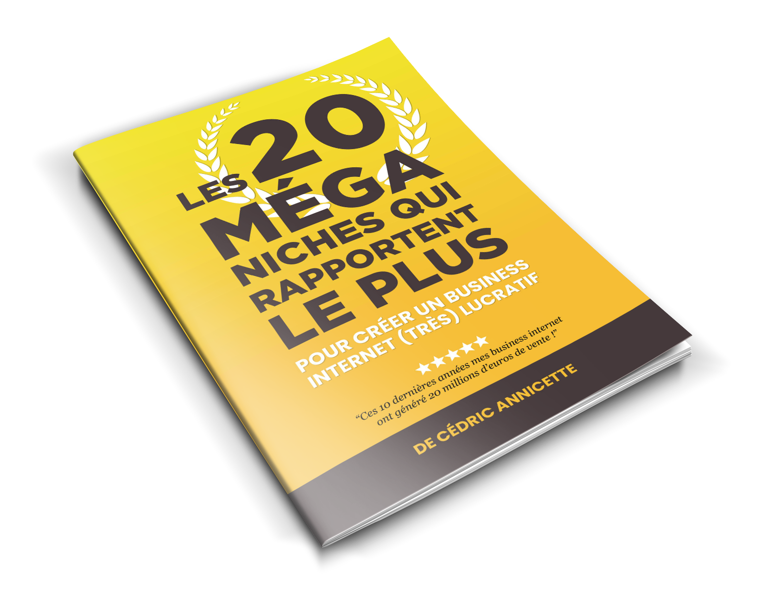 TUNNEL HACK™ - COPIEZ LE MODÈLE QUI M'A RAPPORTÉ 20 MILLIONS D'EUROS SUR INTERNET